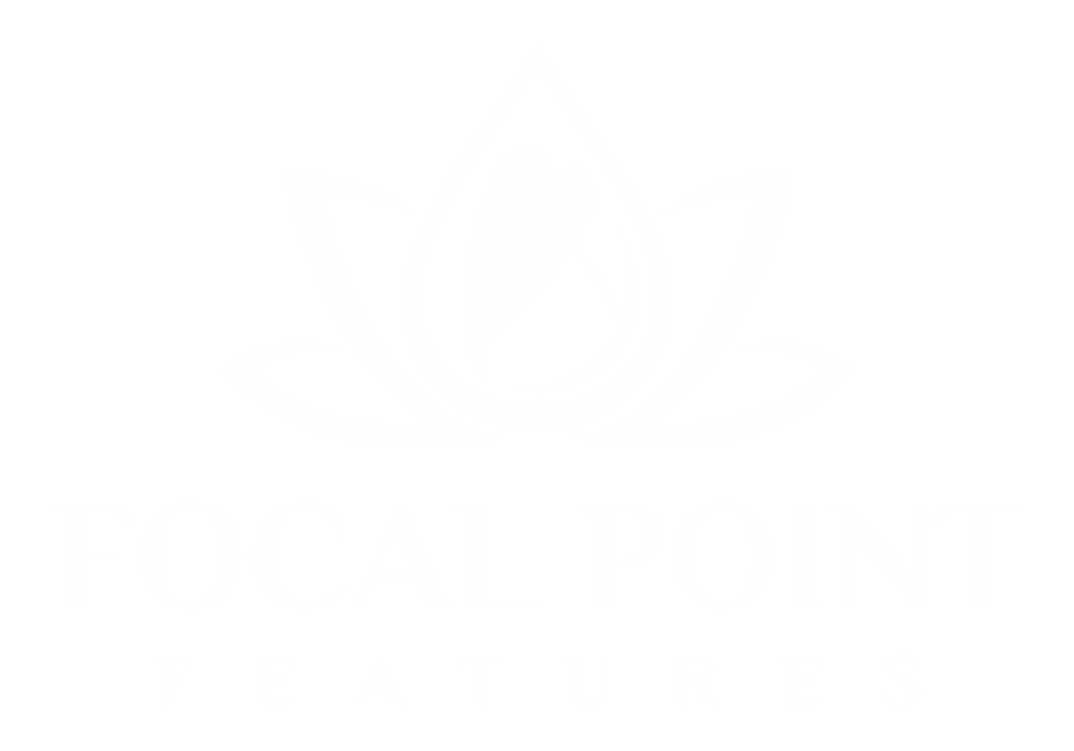 Contact Focal Point Features